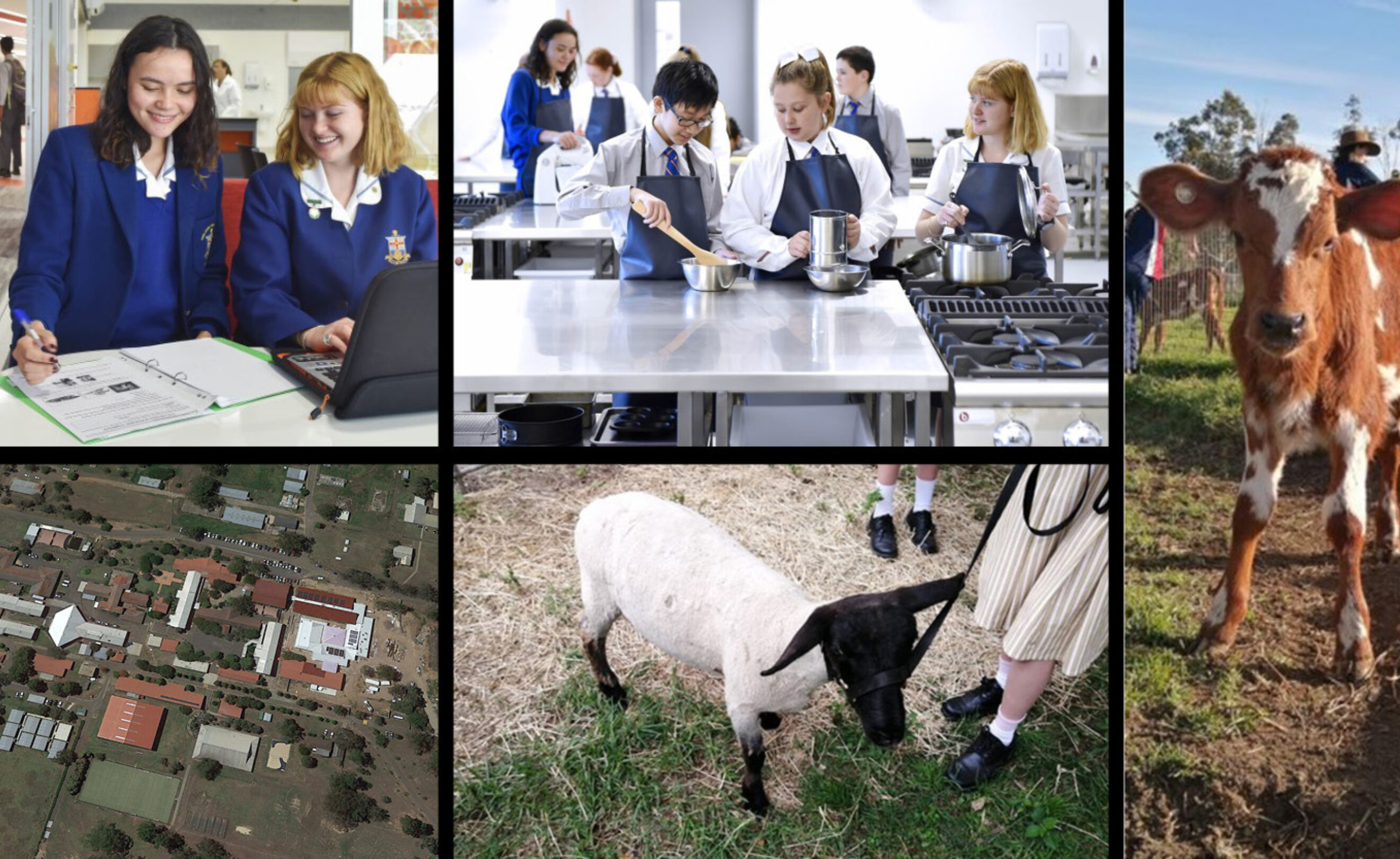 Hurlstone Agricultural High School | PTW
