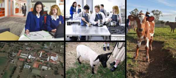 Hurlstone Agricultural High School | PTW